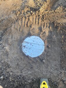 Now that you have found the center of the pool, it’s time to dig a hole ...