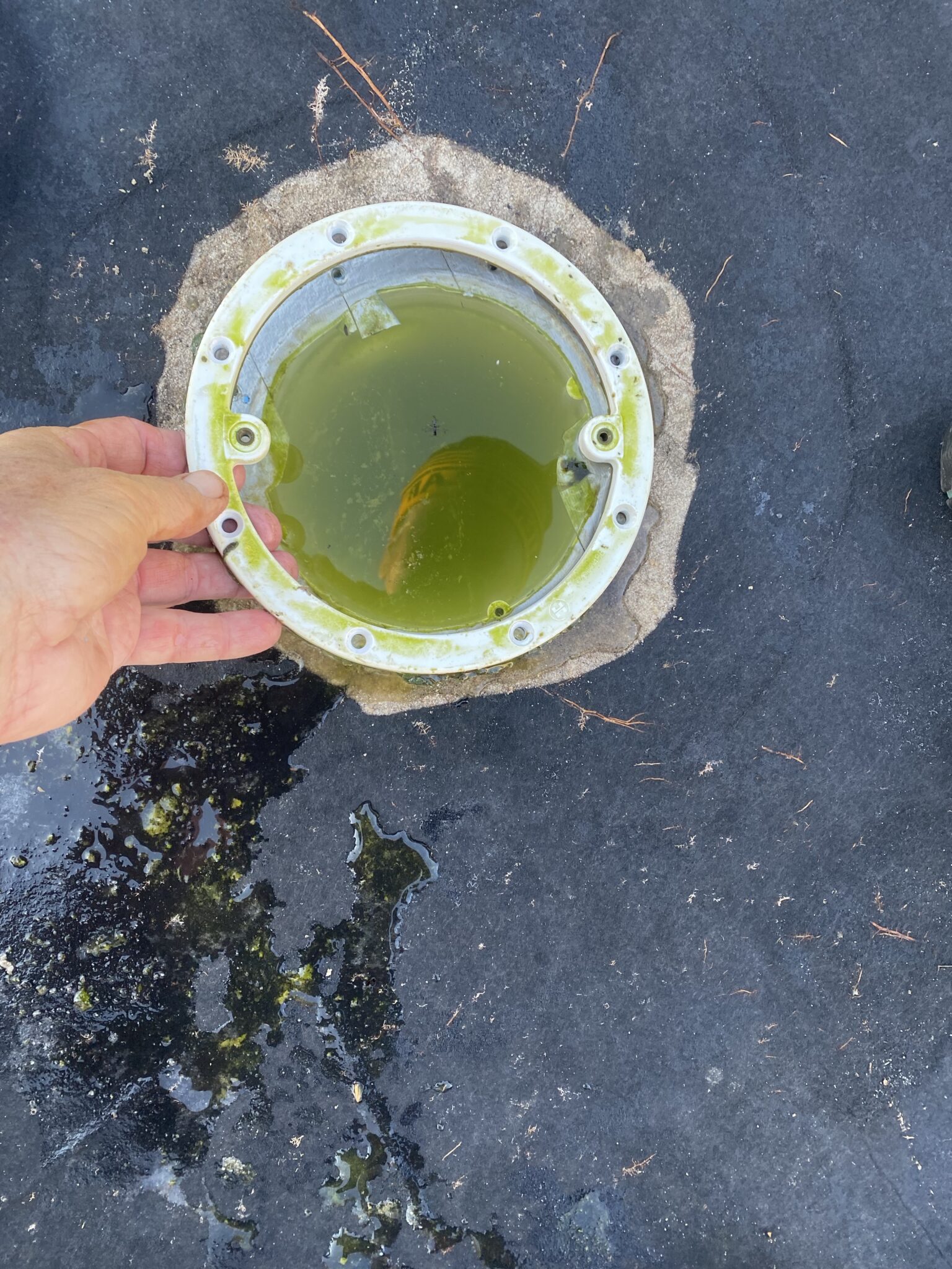 4 Remove the 8 screws that hold down the seal ring and remove the ...