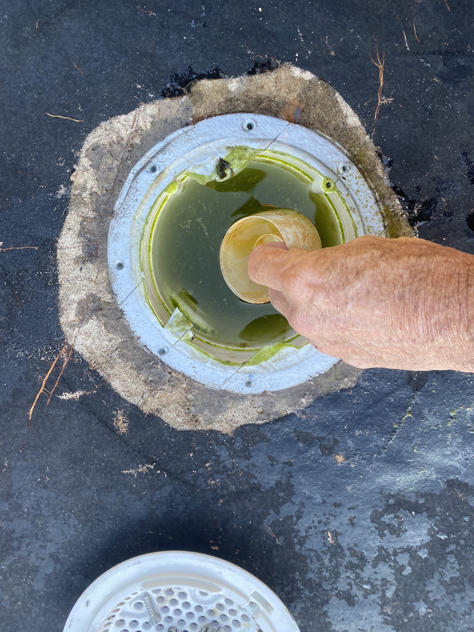 When you take off the drain cover, you’ll see that there is still some ...